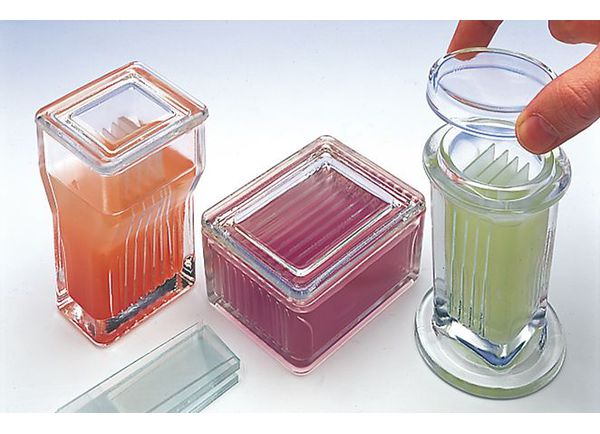 1900319000 - Staining trough, Coplin type Staining trough, Coplin type ...