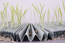 323611200 - Seed Test Paper, 110x2000 mm, 50 dble pleats, Grade 3236 ...