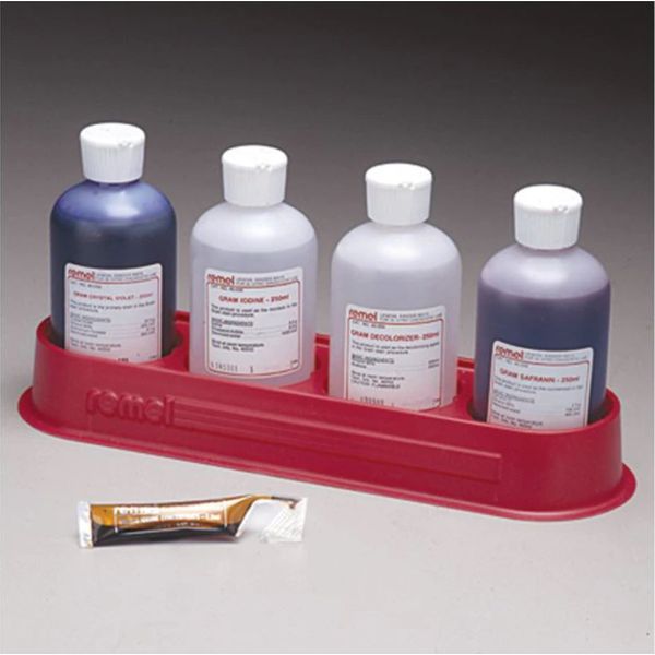 R40081 - Remel™ Gram Stain Kit Plastic Tray only | Analytics-Shop