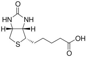 B4501-5G - BIOTIN | Analytics-Shop