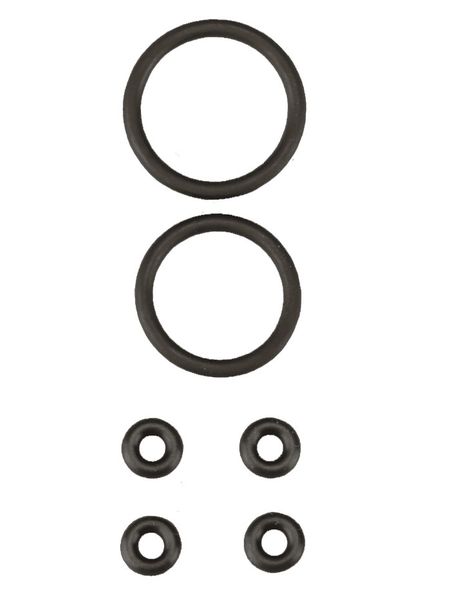 N8152476 - Viton Torch O-Ring, 2.8 mm I.D. for NexION 1000/2000 ...