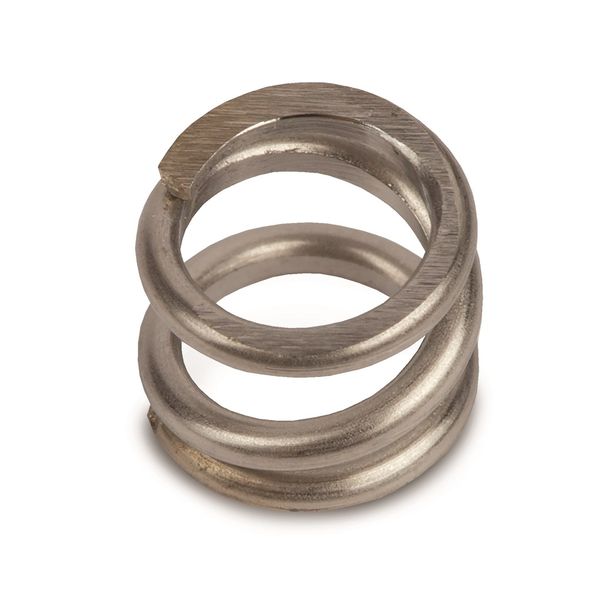 25744 - Spring Turbo V Source, Similar to OEM# 026626 | analytics-shop.com