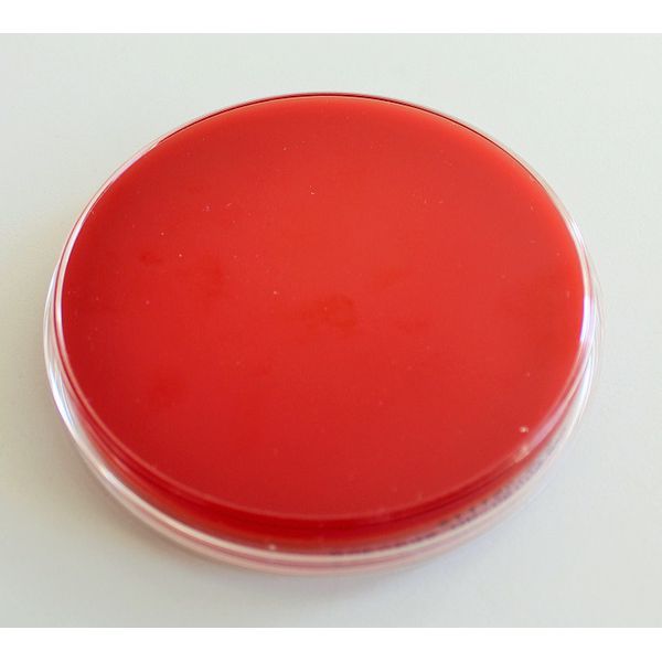 DB315122.5000 - Columbia Blood Agar Base, 5000g | Analytics-Shop