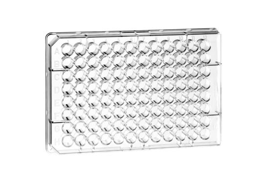 655181 - Cell culture microplate, 96 well, PS, F-bottom, (chimney shape ...