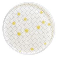 MXSMPCA48 - MILLIFLEX AGAR CASSETTES (PCA) | Analytics-Shop