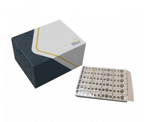 MID65 - Microgen® GN-ID B Panel, 24 tests | Analytics-Shop