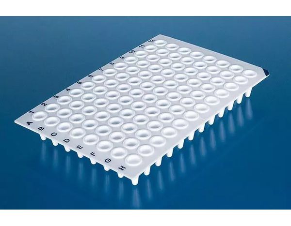 781367 - pcR-Plate, 96-well, non-skirted Low Profile, white, 50 pc/PAK ...