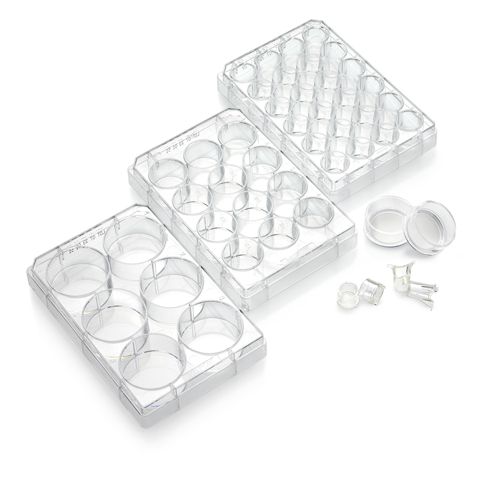 PIHA03050 - Standing Cell Culture Insert Millicell-HA, 6-Well, 30 mm ...