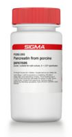 P3292-25G - Pancreatin From Porcine Pancreas powder, suitable for cell ...