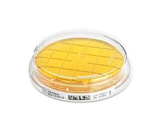 1462530020 - Blanket plates VRBD agar, 20 pc/PAK | analytics-shop.com