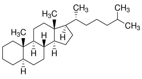 47124 - 5-Alpha-Cholestane, Chloroform 10mg/ml, 1x1ml | Analytics-Shop