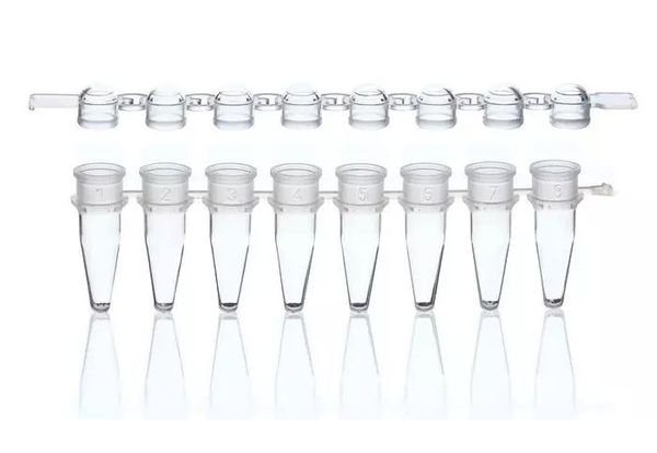 781327 - pcR-Strips, PP, 0,2 ml, 8er, transp., with cap Strips, 250 pc ...