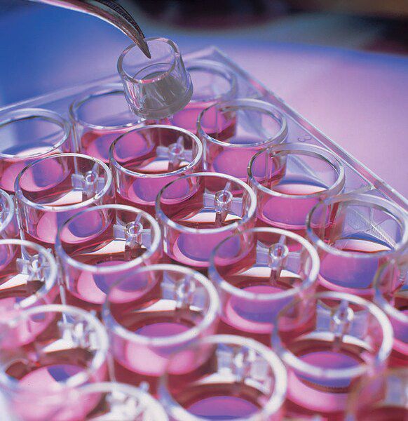 PSET010R5 - Cell Culture Insert Millicell-PCF, 24-Well, PC, 8.0 µm ...