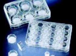 140627 - Cell Culture Insert MD24 3my DIM 8/13mm PC SI, 48 pc/PAK ...