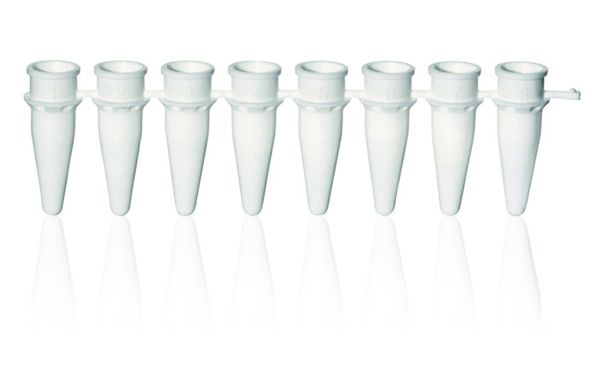 781325 - pcR-Strips, PP, 0,2 ml, 8er, white, w/o lid, for q pcR, 125 pc ...